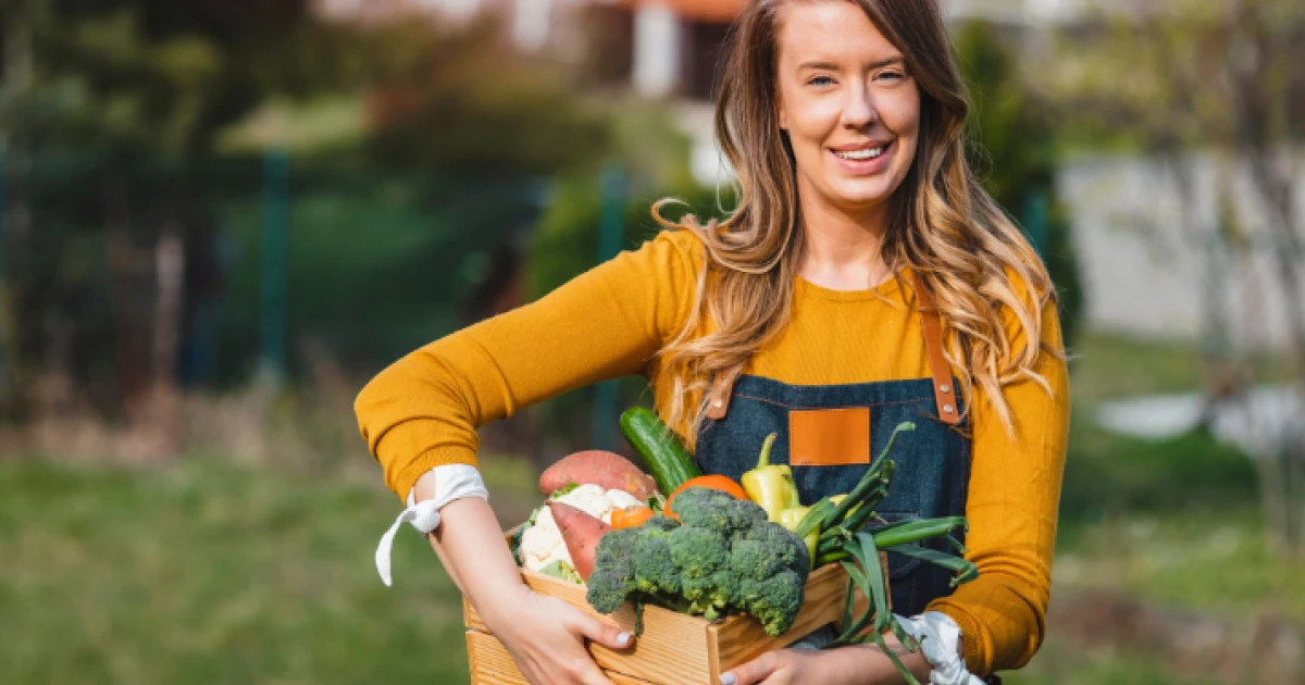 Revista Alphega Nr. 68 - Alphega