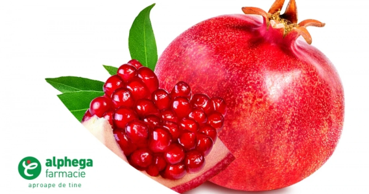 Rodia în medicina naturistă modernă - Alphega